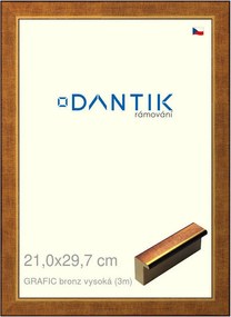 DANTIK rámeček 21x29,7 | GRAFIC bronz vysoká (Sklo Čiré)