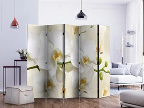Pokojová zástěna Orchidejová větev II - kompozice bílých květů lilie na světlém pozadí