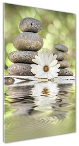 Wallmuralia Vertikální Foto obraz skleněný svislý Kamení a květ 50x100