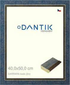 DANTIK rámeček 40x50 | Vyřazeno | CARRARA šedá (Sklo Čiré)
