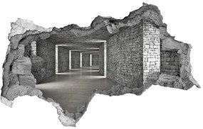 Wallmuralia Díra 3D fototapeta nálepka Tunel z cihly 95x73 cm