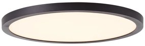 Brilliant - LED Stropní svítidlo TUCO LED/16W/230V pr. 25 cm černá