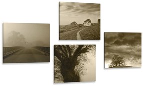 Set obrazů tajemná příroda v sépiovém provedení - 4x 40x40 cm