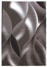 Ayyildiz, Kusový koberec Plus 8008 brown, 200x290, hnědá, chodba / předsíň
