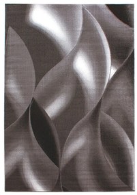 Ayyildiz, Kusový koberec Plus 8008 brown, 80x300, hnědá, chodba / předsíň
