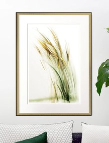 Elegantní grafika s trávami do moderních interiérů Trávy, Prchavá Série | Anna Borkowska