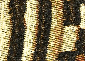 Koberce Breno Kusový koberec ZOYA kruh 728/Q01R, Vícebarevné, 160 x 160 cm