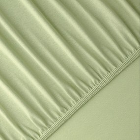 Florella Prostěradlo Avance Jersey 45 Grün, 180-190x200 cm