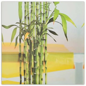 Obraz na plátně Bamboo Leaf Zen Spa - 60x60 cm
