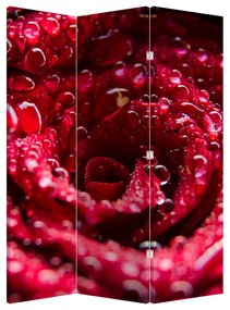 Paraván - Květ červené růže (126x170 cm)