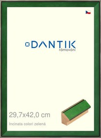 DANTIK rámeček 29,7x42 | INCLINATA colori zelená (Plexi Čiré)