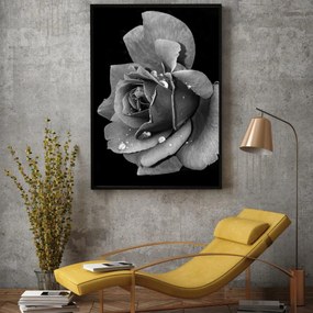 Plakát - Růže květ (A4)