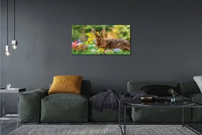 Obrazy na plátně Králík vejce louka 100x50 cm