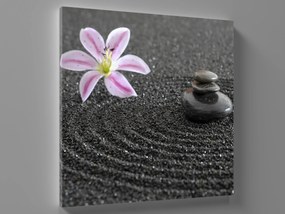 Liox Obraz kameny a lilie Rozměr: 150 x 150 cm