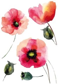 AS-rovi Crearreda WA XXL Watercolour Poppies 81003 Akvarel vlčí máky