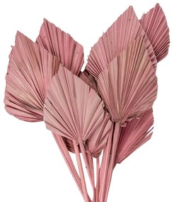 Růžová kytice sušené palmové listy – 55 cm