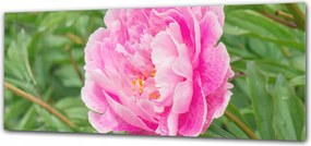 Skleněný obraz 150x60 grafika za sklem květina