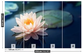 Fototapeta Lotosový květ rybník 104x70