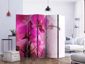 Pokojová zástěna Růžová orchidej II (5-dílný) - kvetoucí květiny na světle růžovém pozadí