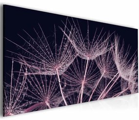 Malvis ® Obraz smetánka lékařská - fialová Velikost (šířka x výška): 45x25 cm