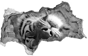 Wallmuralia Díra 3D fototapeta nálepka Spící tygr 95x73 cm