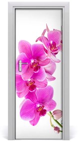 Fototapeta samolepící Růžová orchidej 75x205 cm
