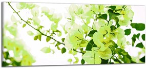 Obraz na plátně Zelené květy 1374AZ
