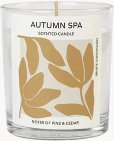 Vonná svíčka Autumn Spa (borovice a cedr)