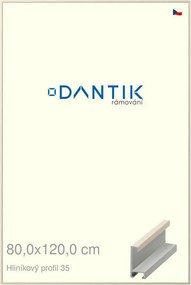 DANTIK rámeček 80x120 | ALU profil 6035 Dýha slonová kost (Plexi Čiré)