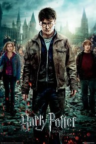 Plakát, Obraz - Harry Potter - Relikvie smrti, (61 x 91.5 cm)