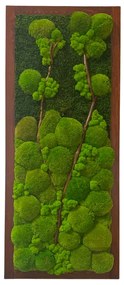 WOODILO Mechový obraz 211| 110x45 cm | rám mořený ořech tmavý | IHNED K ODESLÁNÍ