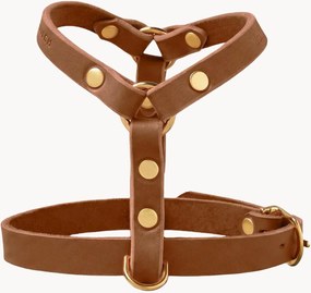 Kožený postroj pro psa Y-Harness, v různých velikostech