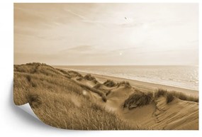 Fototapeta Duna Sunrise Sepia Strukturální vinyl 208x146