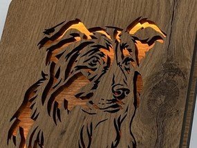 Li-Go "Kolie" lampa 19x19 cm provedení povrchu: dub