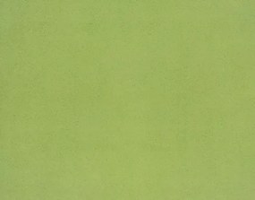 BEAUFLOR PVC podlaha - lino Xtreme Mira 550M - zelené ŠÍŘKA: 4 m, POUŽITÍ: Zátěžové