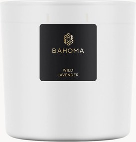 Vonná svíčka Wild Lavender (mořské akordy)