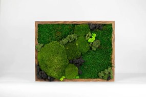 Mechový obraz | 40x30 cm | Sherwoodský les