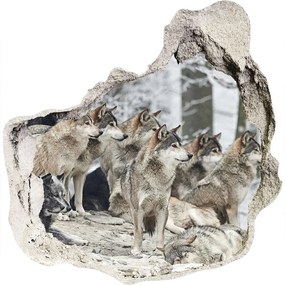 Wallmuralia Díra 3D fototapeta nástěnná Nálepka vlci zimou 75x75 cm