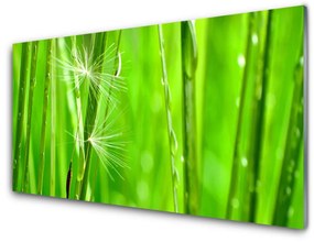 Obraz na skle Tráva Rostlina Příroda 120x60 cm