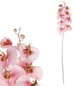 Orchidej, barva růžová KUC2604 PINK