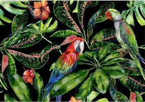 Obraz na płátně Tropical Birds