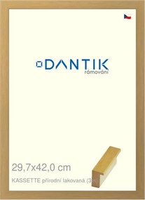 DANTIK rámeček 29,7x42 | KASSETTE přírodní lakovaná (Plexi Čiré)