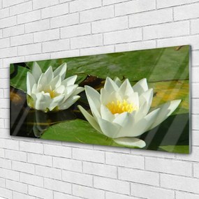 Plexisklo-obraz Květiny Rostliny Příroda 125x50 cm