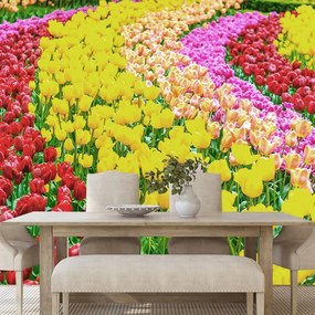 Tapeta tulipány v zahradě - 150x100 cm