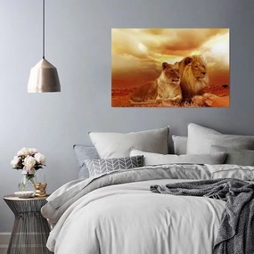 Obraz na plátně, Lvi Zvířata Afrika Brown - 120x80 cm