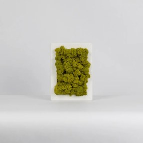Mechový miniobraz | 15x10 cm | olivově zelený - bílá rám