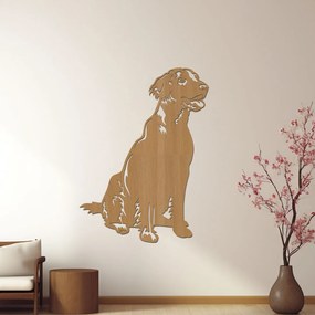 dřevo života Dřevěný obraz psa Flat coated retriever Zvolte rozměr (cm): 30x40, Zvolte barvu dekoru: Buk