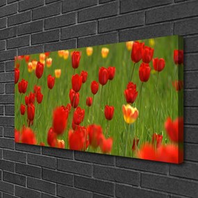 Obraz na plátně Tulipány Rostlina 140x70 cm