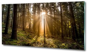 Wallmuralia Foto obraz fotografie na skle Sluneční světlo 100x50