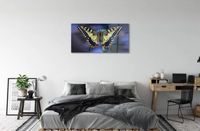 Obraz na skle Motýl na květině 140x70 cm